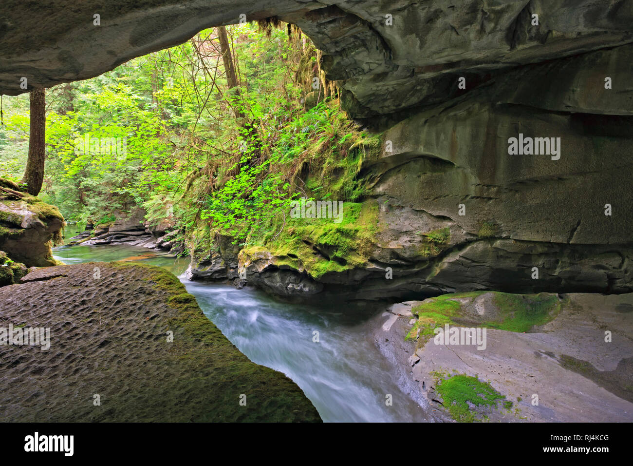 Little Huson Cave Regional Park High Resolution Stock Photography and ...