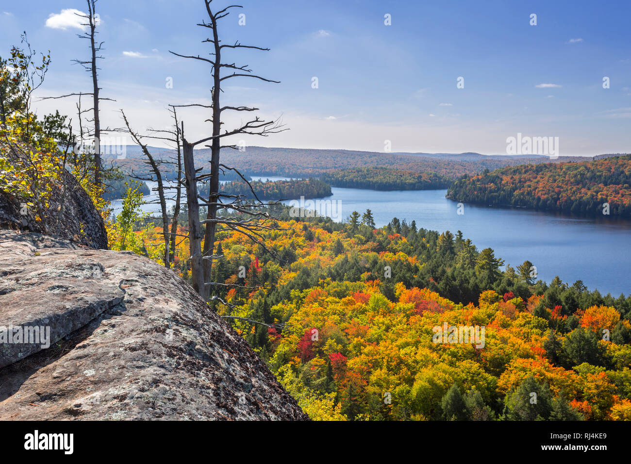 North America, Canada, Ontario, Algonquin Provincial Park, autumn ...