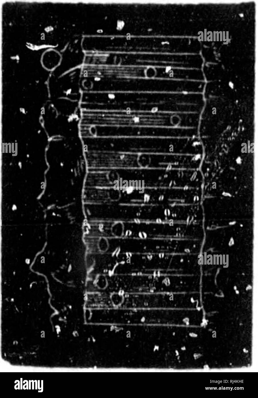 Section de fer hi-res stock photography and images - Alamy