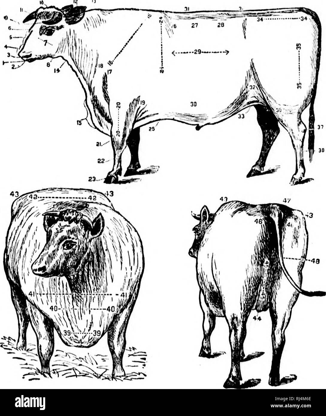 19 20 21 22 23 Cut Out Stock Images & Pictures - Alamy