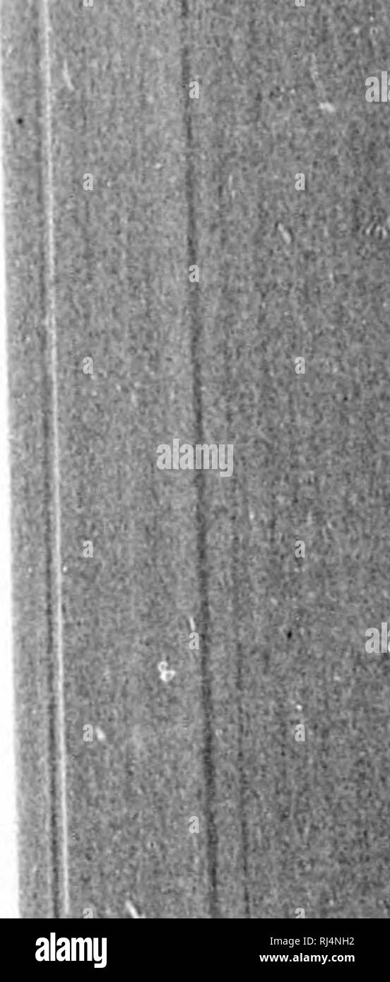 Rochester canal manchester hi-res stock photography and images - Alamy