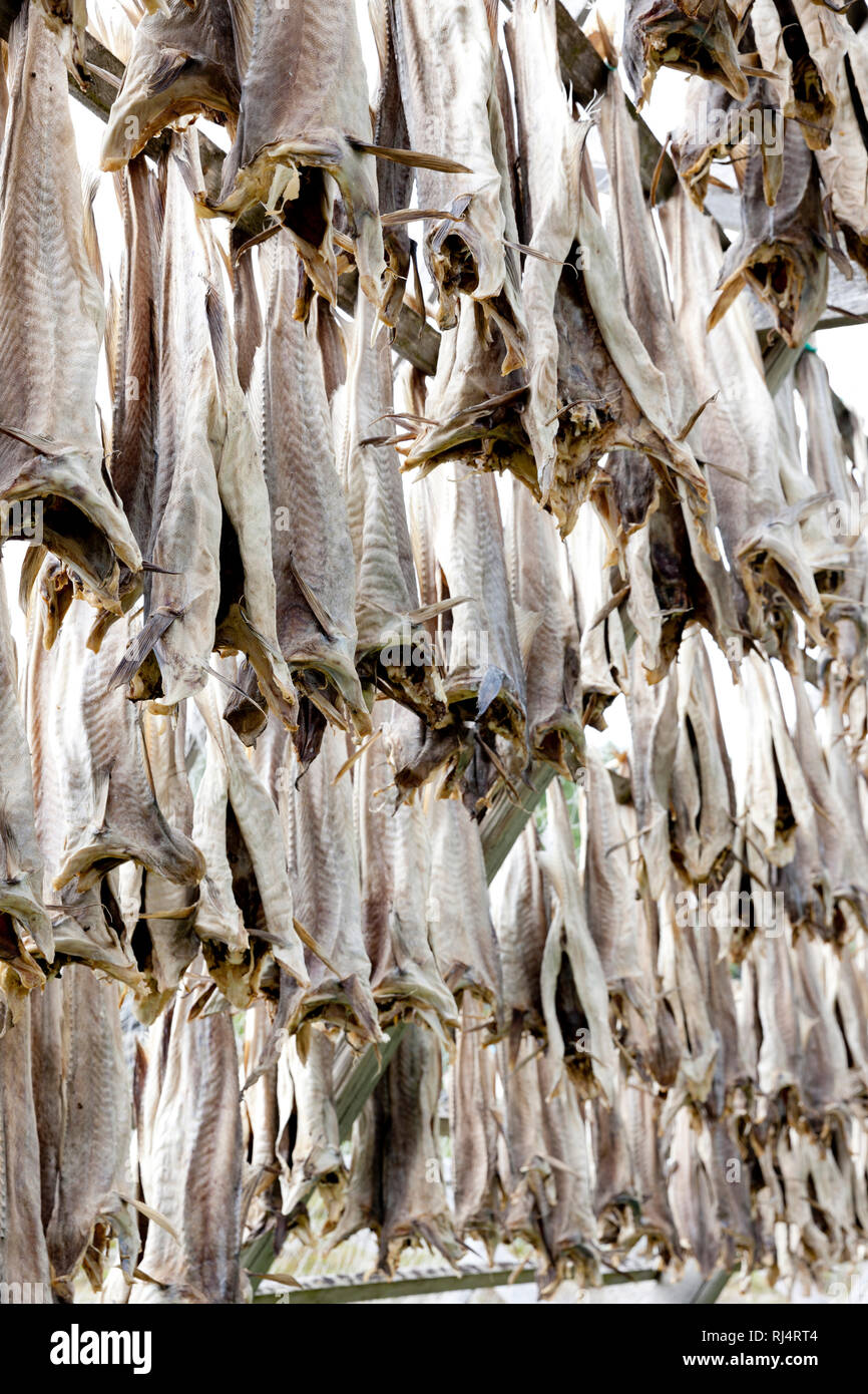 Haltbar hi-res stock photography and images - Alamy