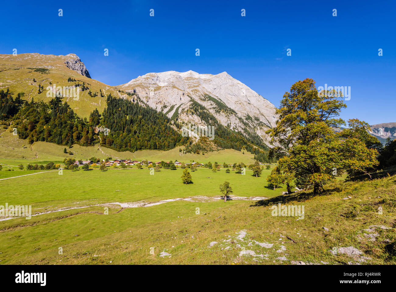 Steile bergwiese hi-res stock photography and images - Alamy