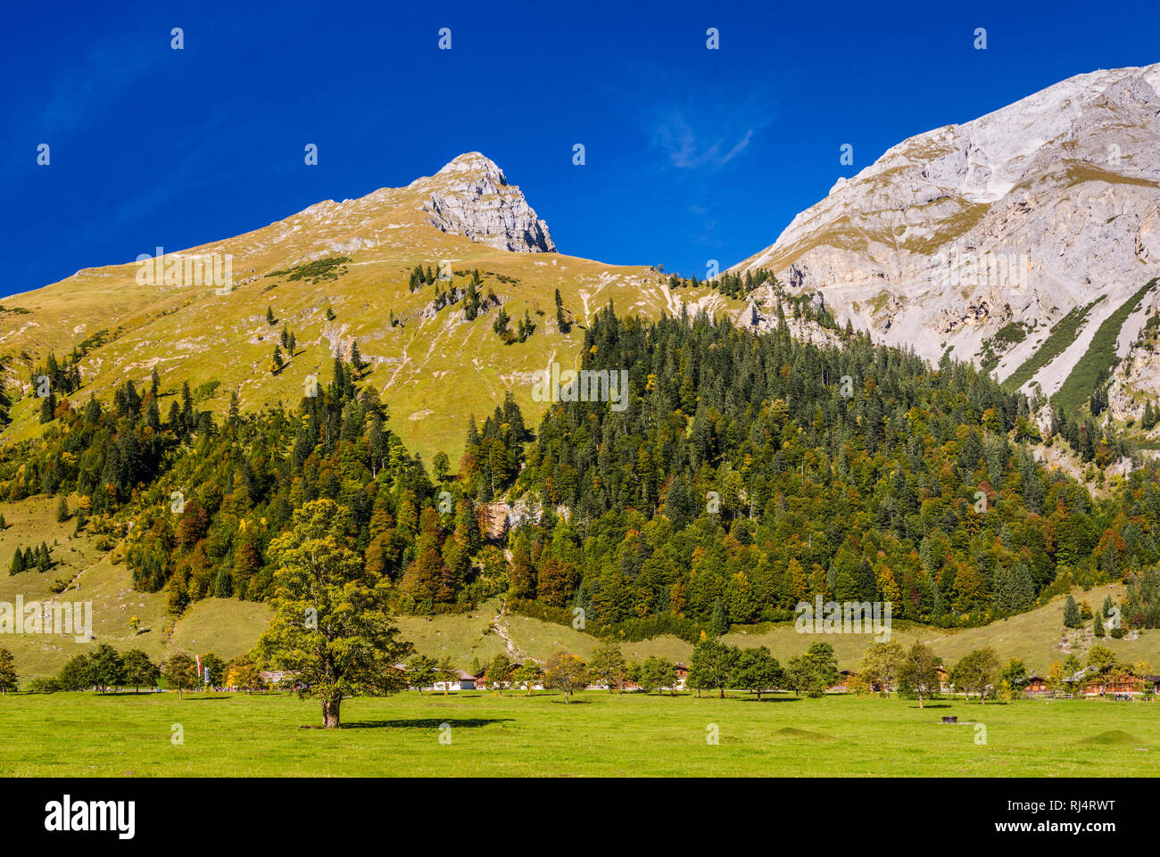 Eng gebirge karwendel herbst alpenpark baum hi-res stock photography ...