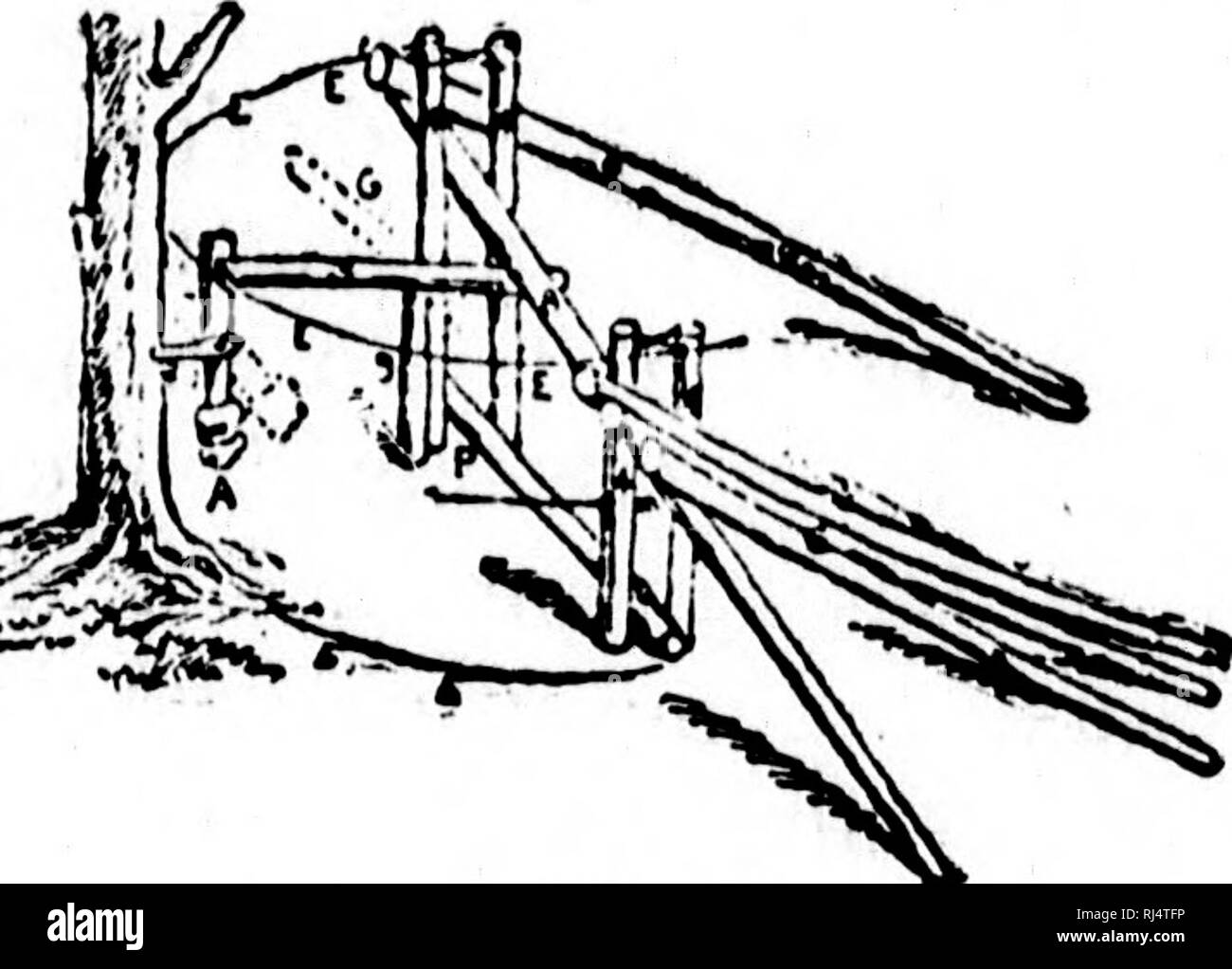 Les tielles hi-res stock photography and images - Alamy