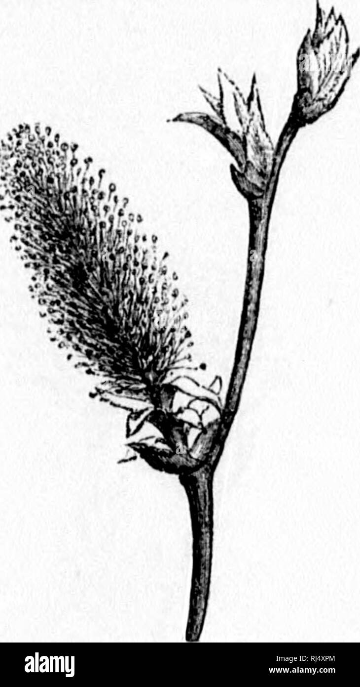 Juter Black and White Stock Photos & Images - Alamy