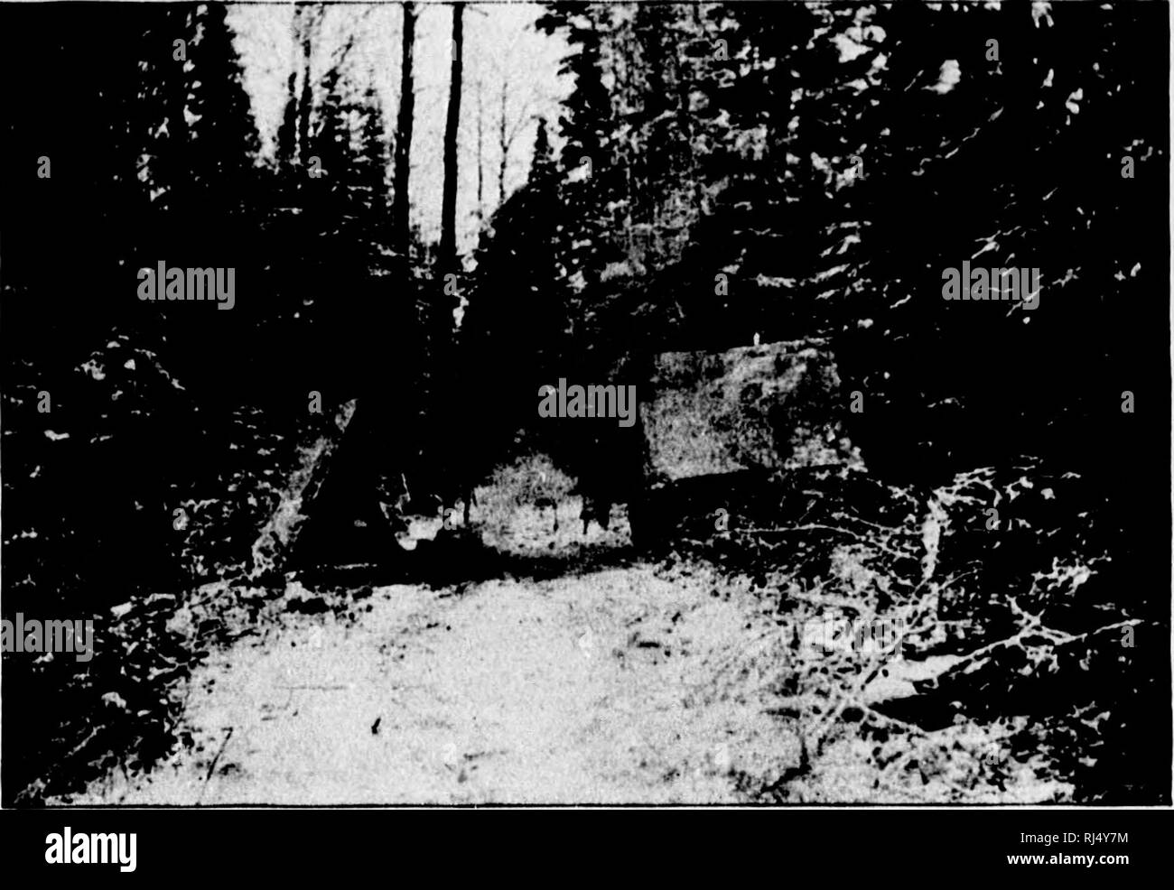 Anglo saxon hunting Black and White Stock Photos & Images - Alamy