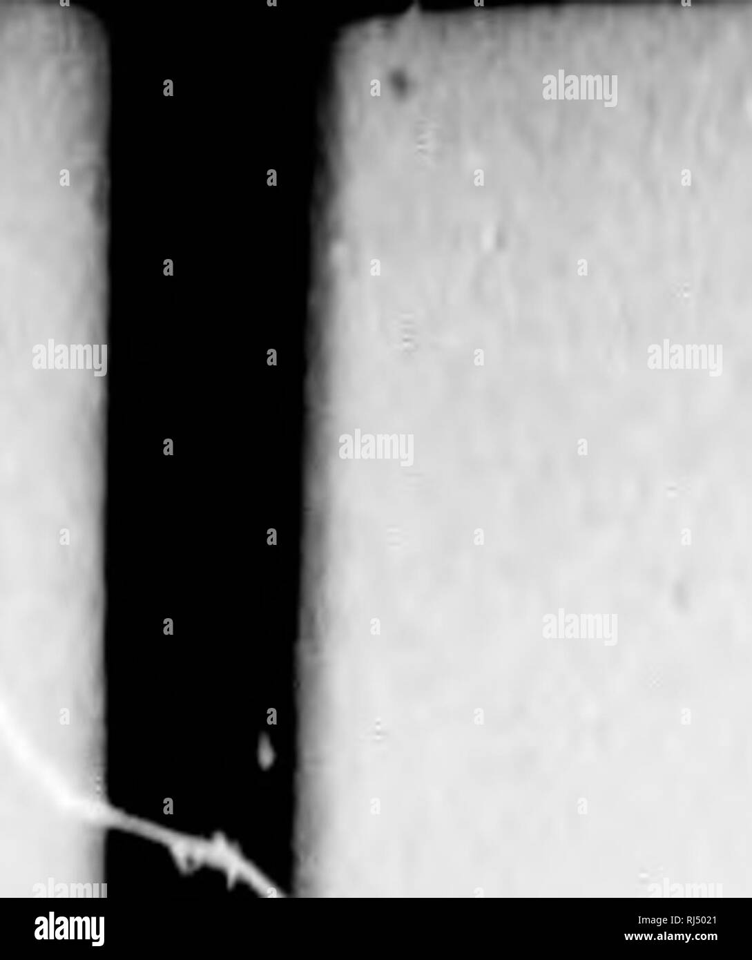 Var check Black and White Stock Photos & Images - Alamy