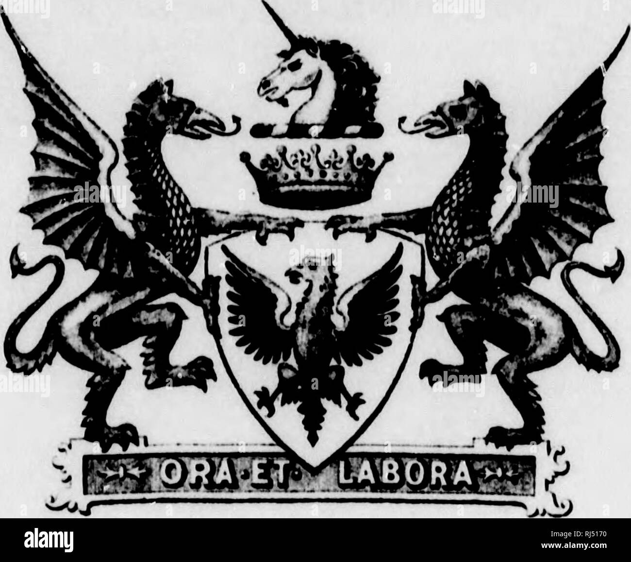 Ousie hi-res stock photography and images - Alamy