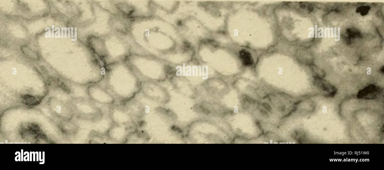 Pellet matrix hi-res stock photography and images - Alamy