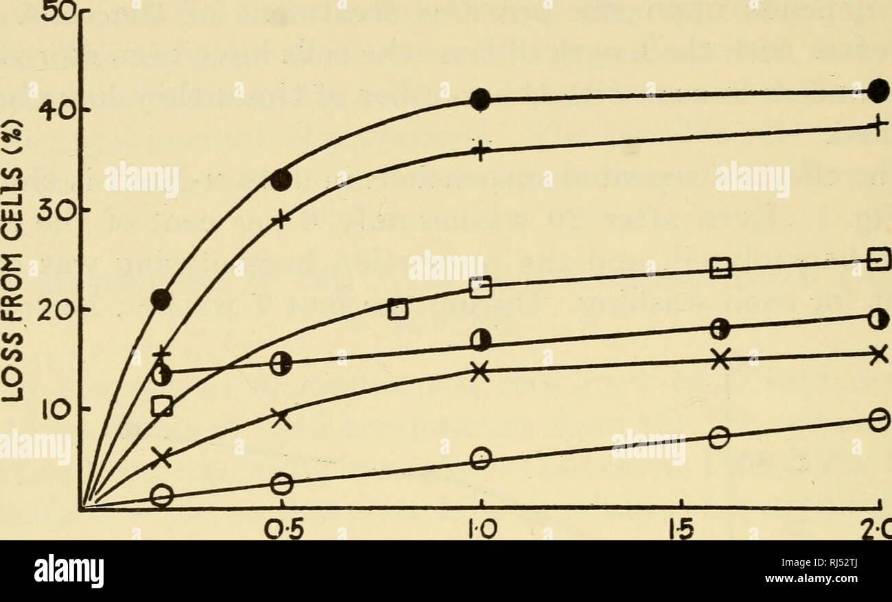 Packed red cells hi-res stock photography and images - Alamy