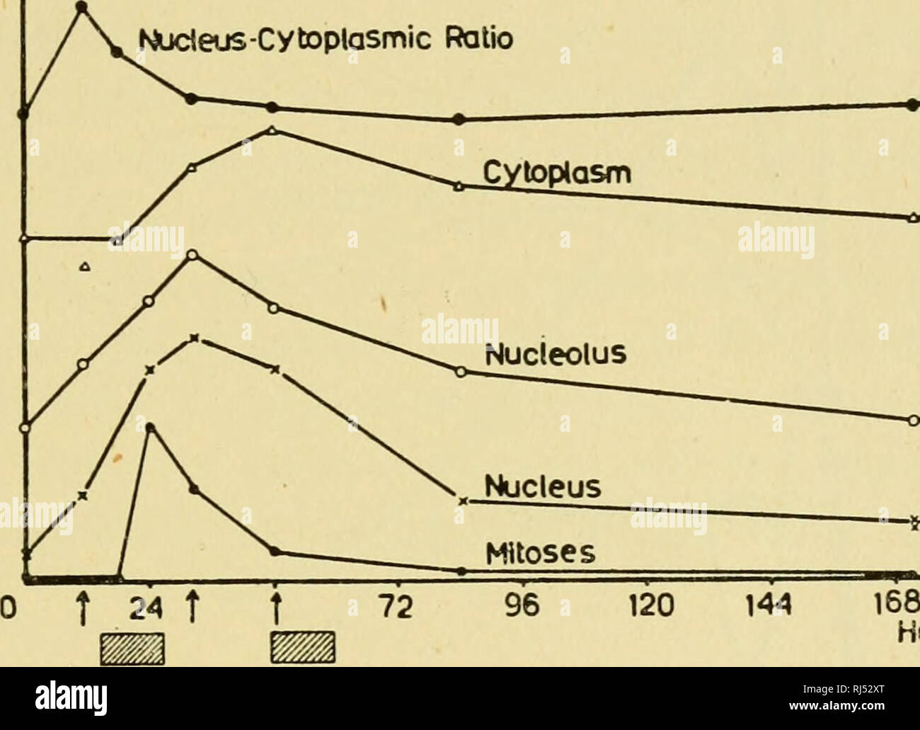 Radioactive tracer in use hi-res stock photography and images - Alamy