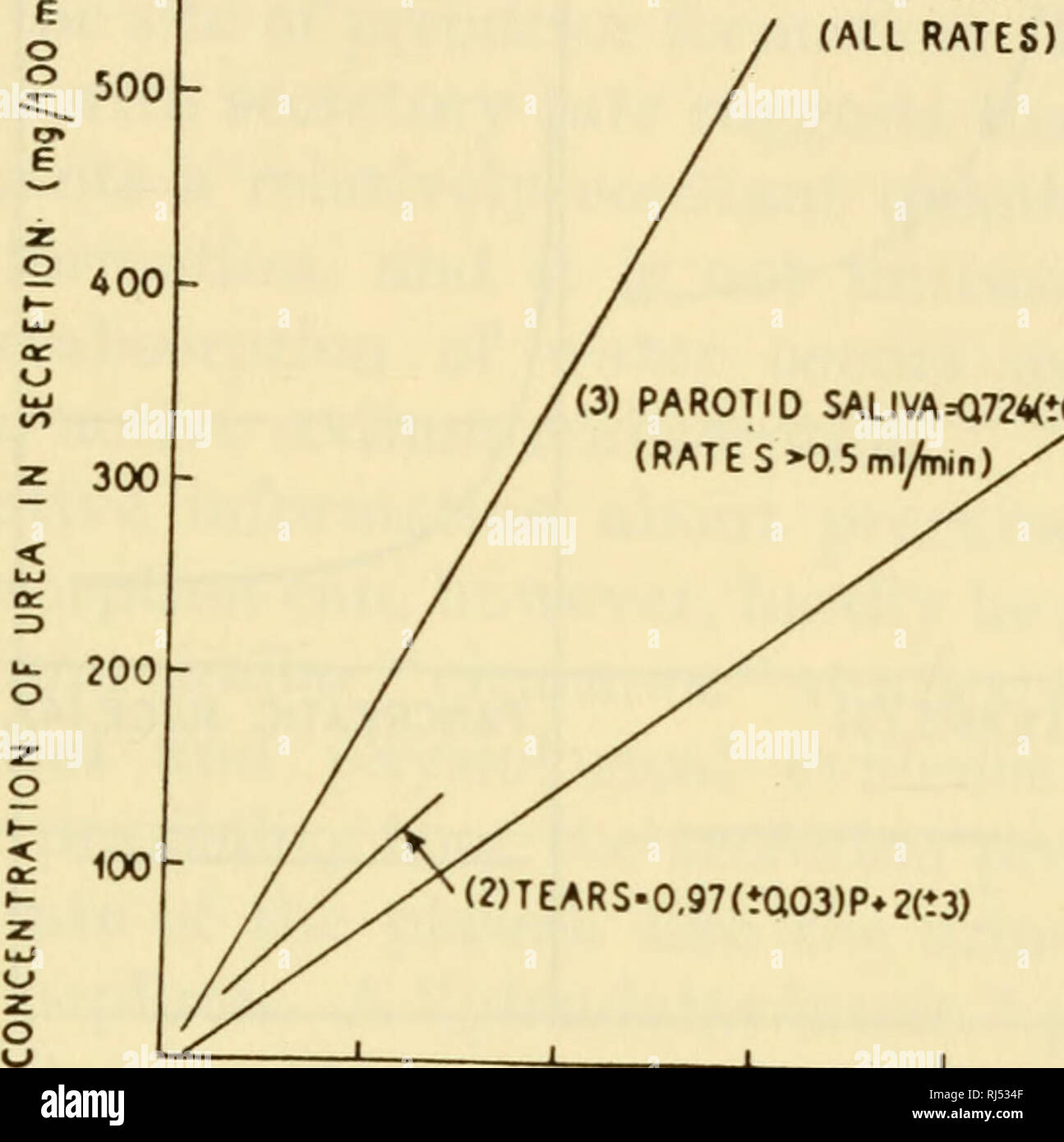 Sodium reabsorption hi-res stock photography and images - Alamy