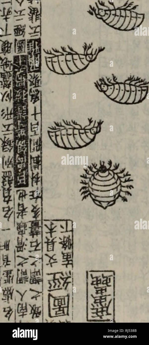 Li shi zhen hi-res stock photography and images - Alamy