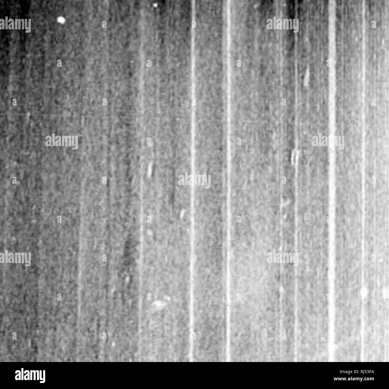 Possessed vegetables hi-res stock photography and images - Alamy