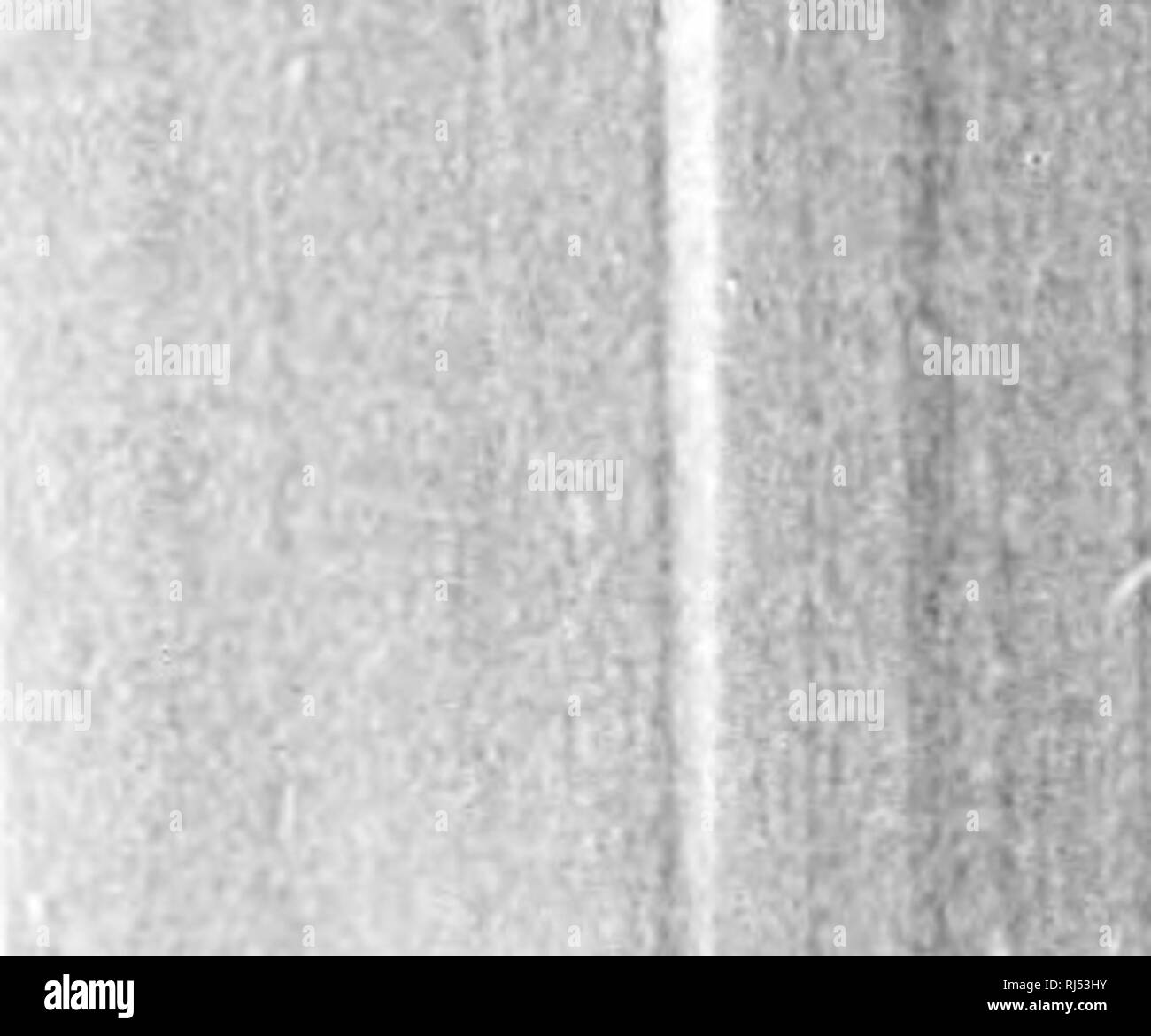 Stables versailles hi-res stock photography and images - Alamy