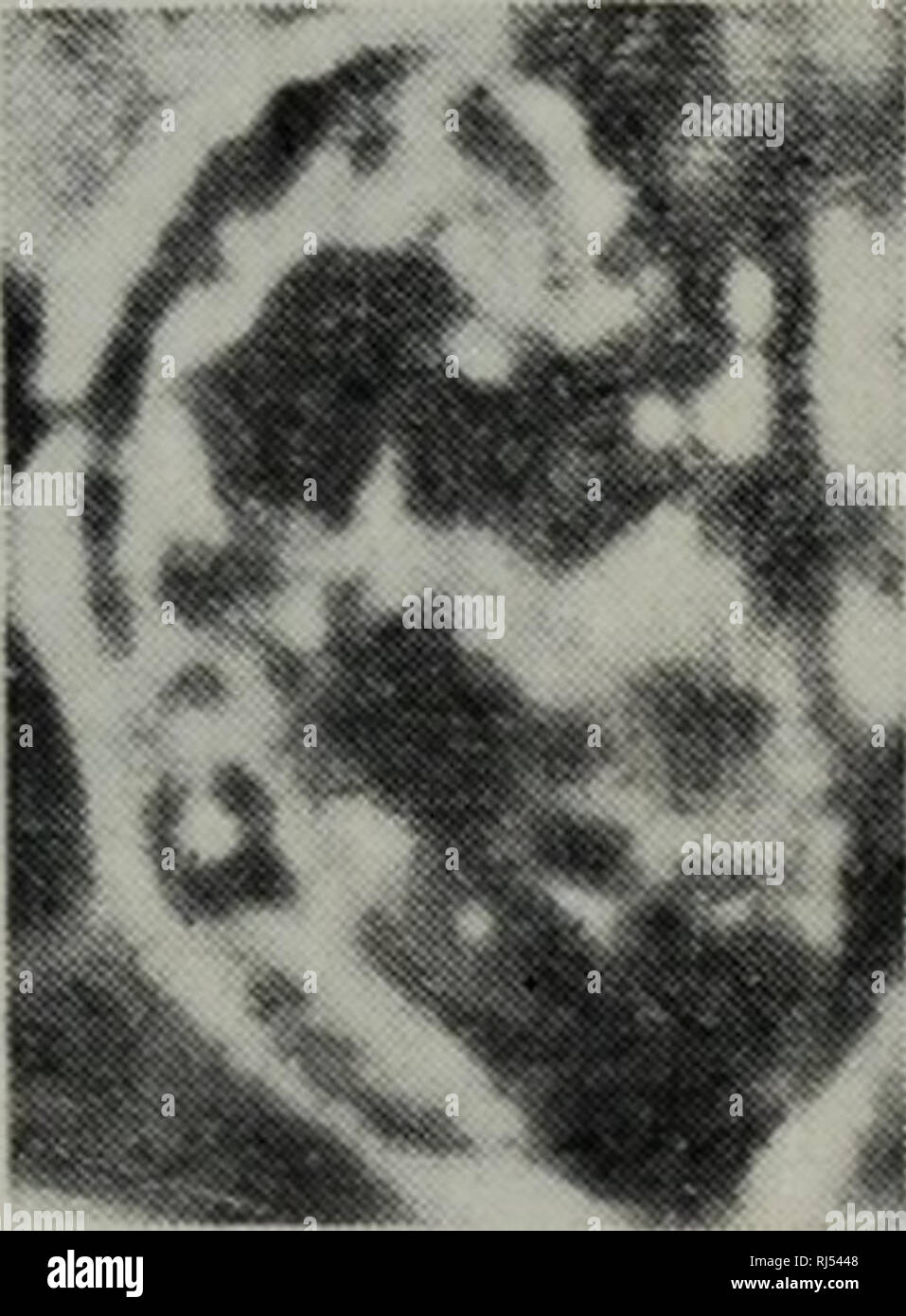 Bei yan hi-res stock photography and images - Alamy