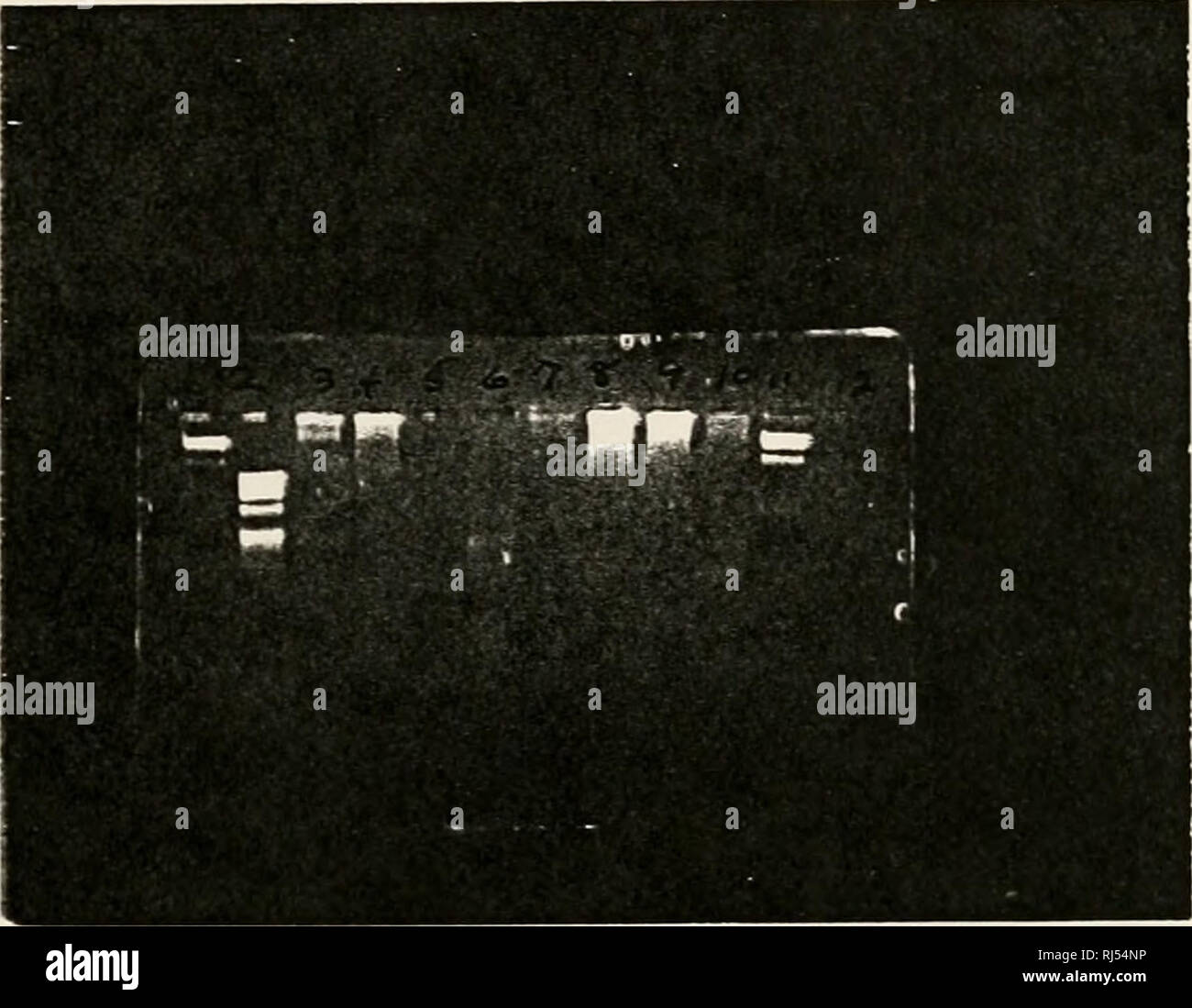 The human genome project hi-res stock photography and images - Alamy