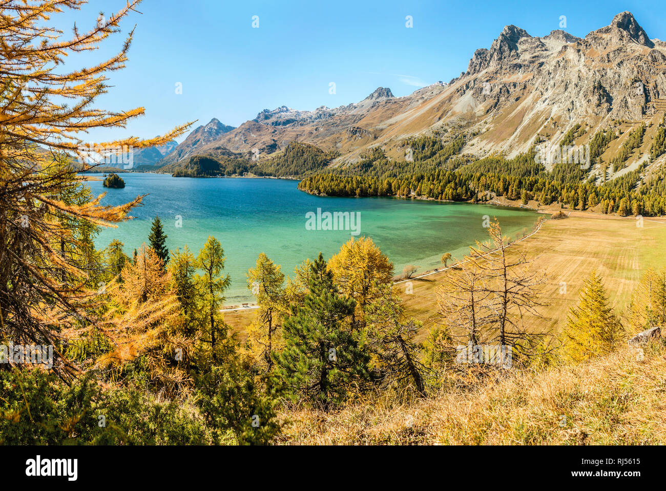 Autumn landscape at Lake Sils, Upper Engadin, Switzerland Stock Photo ...