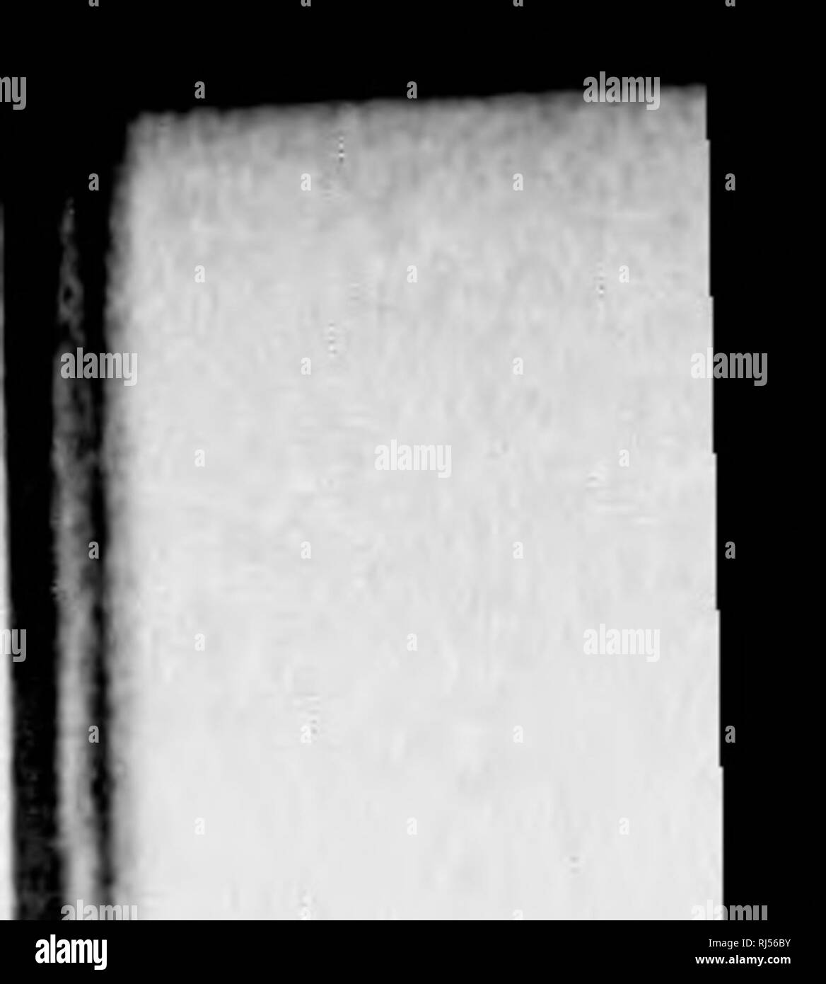 Bearded darnel hi-res stock photography and images - Alamy