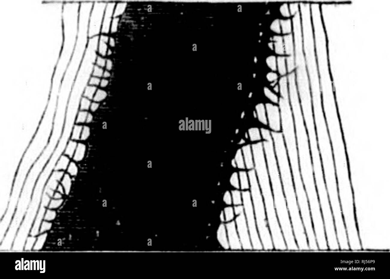 Pala mine Black and White Stock Photos & Images - Alamy