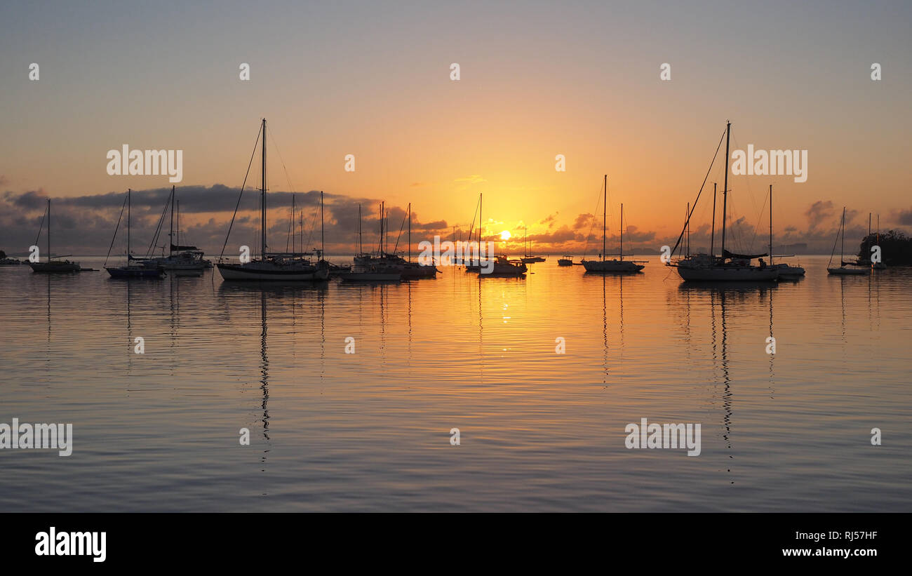 Dinner key coconut grove hi-res stock photography and images - Alamy