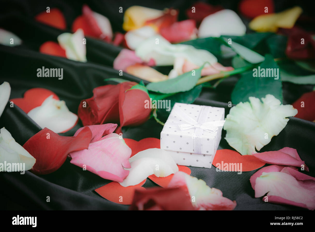 Glass Rose Petals Ribbon High Resolution Stock Photography and Images ...