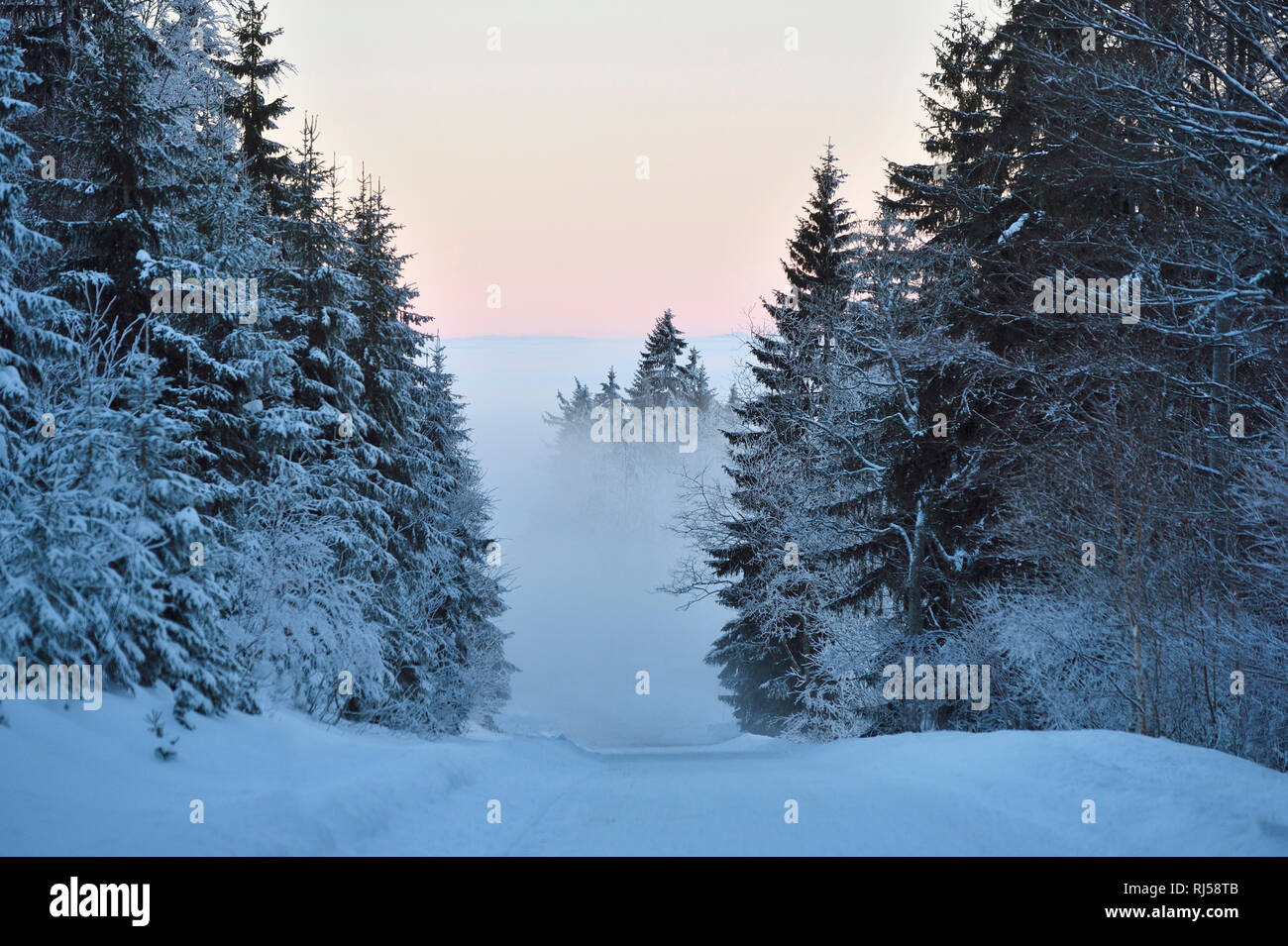 Winterlandschaft, Bayerischer Wald, Bayern, Deutschland, Europa Stock ...