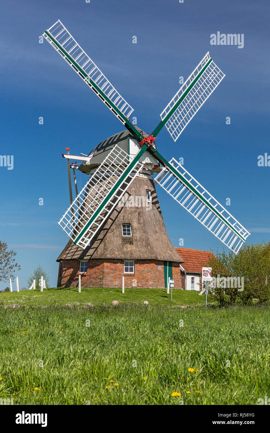Windm?hle in Bagband, Ostfriesland Stock Photo - Alamy