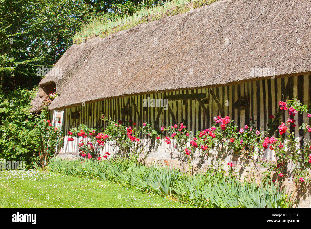 klassischer Gutshof der Normandie Stock Photo - Alamy
