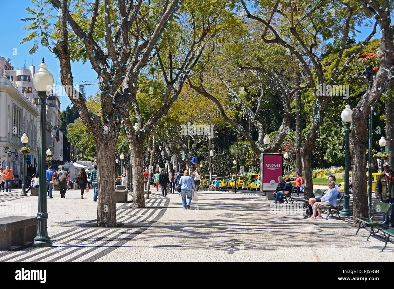 Funchal, Avenida Arriaga Stock Photo - Alamy
