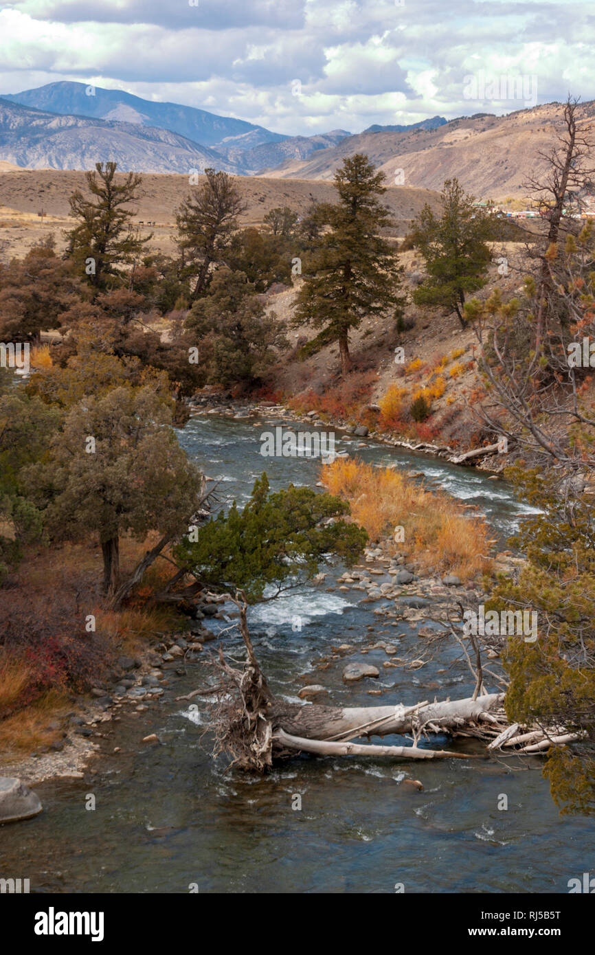 Beautiful meadow yellowstone river hi-res stock photography and images ...