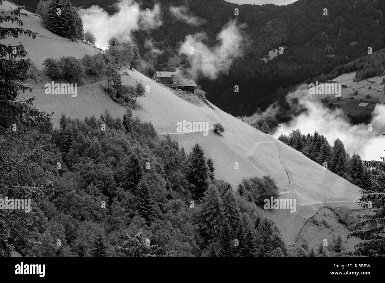 Bergwiese steil hi-res stock photography and images - Alamy