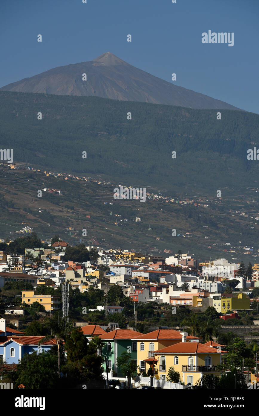 Blick über das Orotava-Tal auf den Pico Teide, La Orotava, Teneriffa ...