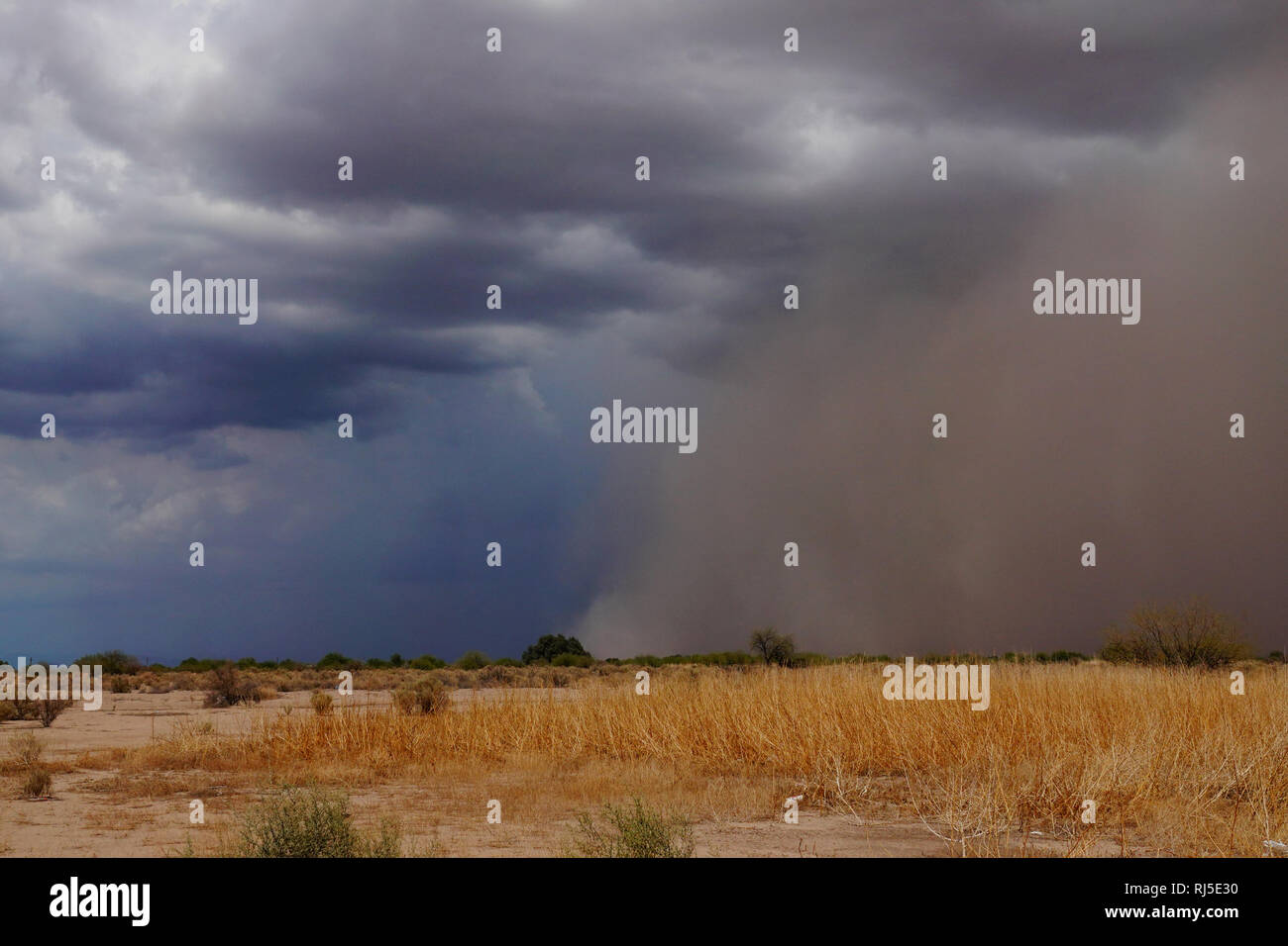 Haboob dust storm hi-res stock photography and images - Alamy