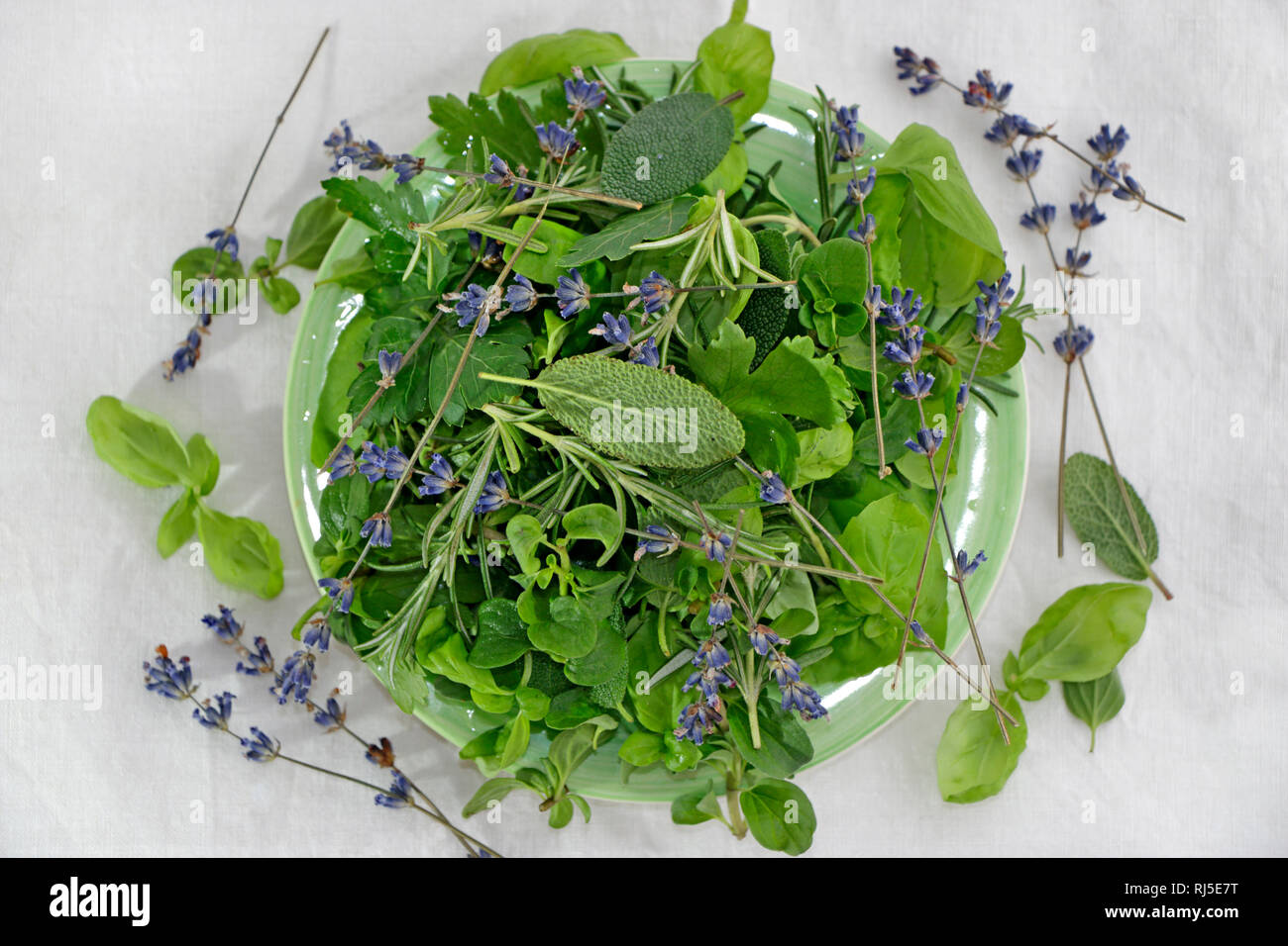 Kräuter der Provence Stock Photo - Alamy