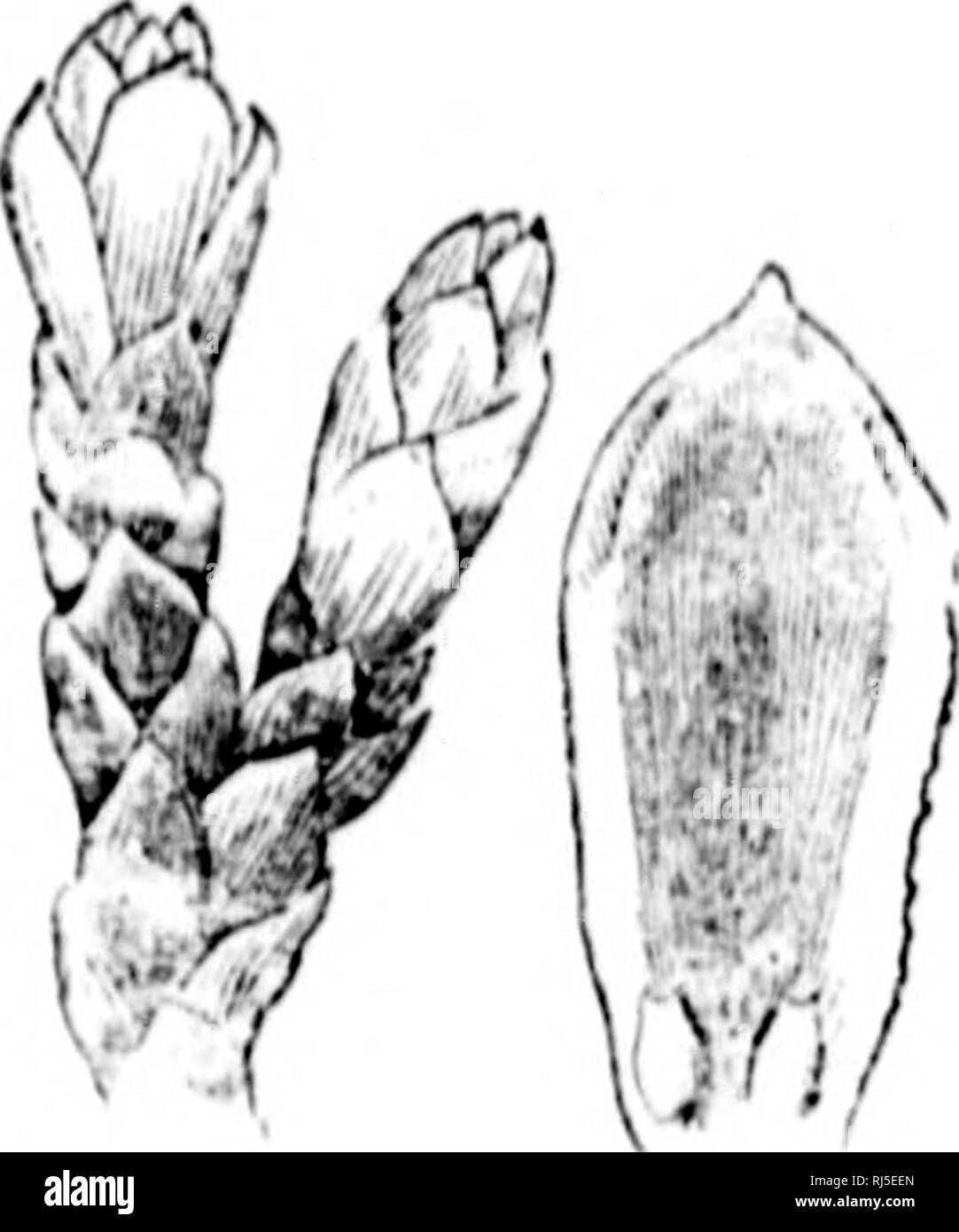 Ortant Black and White Stock Photos & Images - Alamy