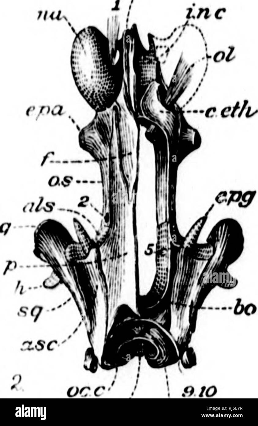 Cop museum Black and White Stock Photos & Images - Alamy