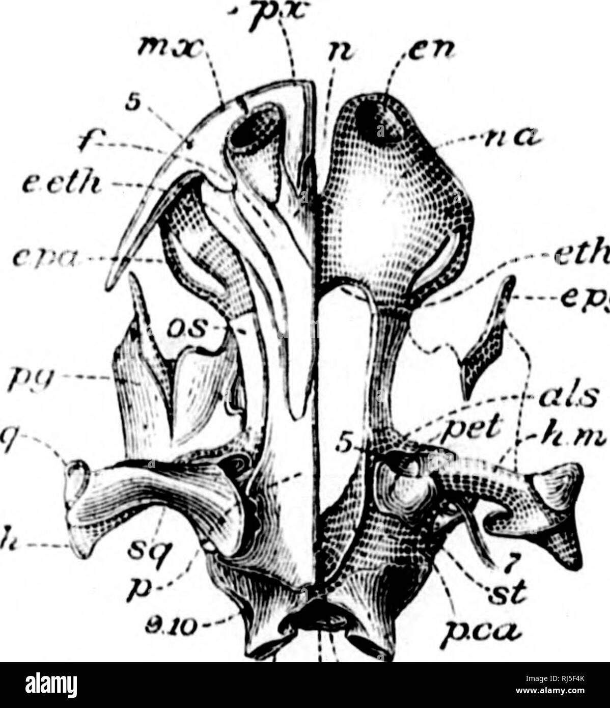 Px m hi-res stock photography and images - Alamy