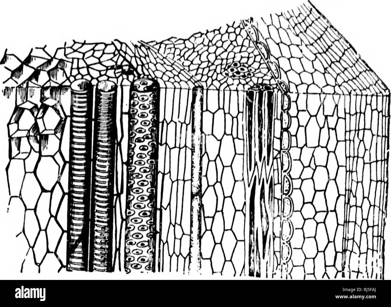 Sieve 4 Black and White Stock Photos & Images - Alamy