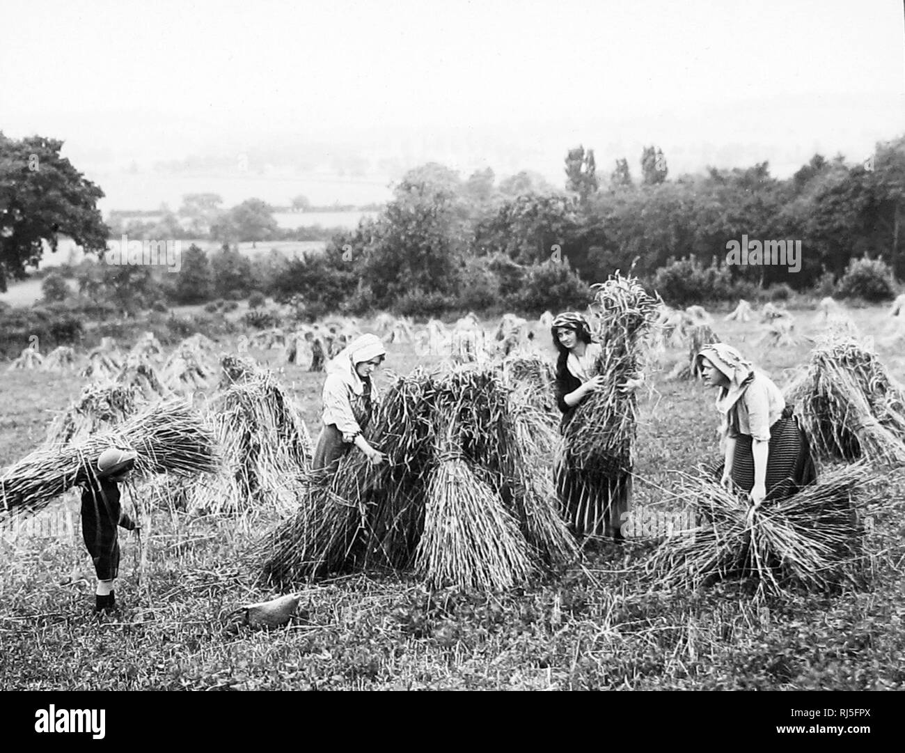 Edwardian farming hi-res stock photography and images - Alamy