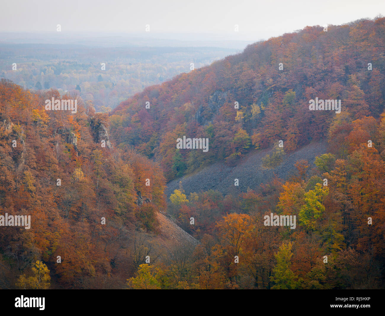 Landscape of hills in autumn Stock Photo - Alamy