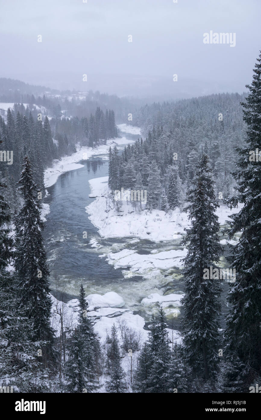 view over a river, forest in the winter Stock Photo - Alamy