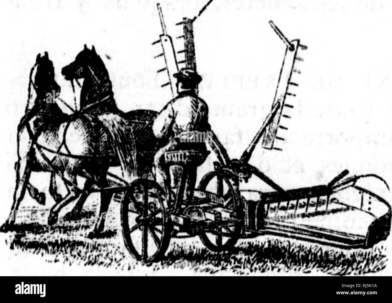 Farineux hi-res stock photography and images - Alamy