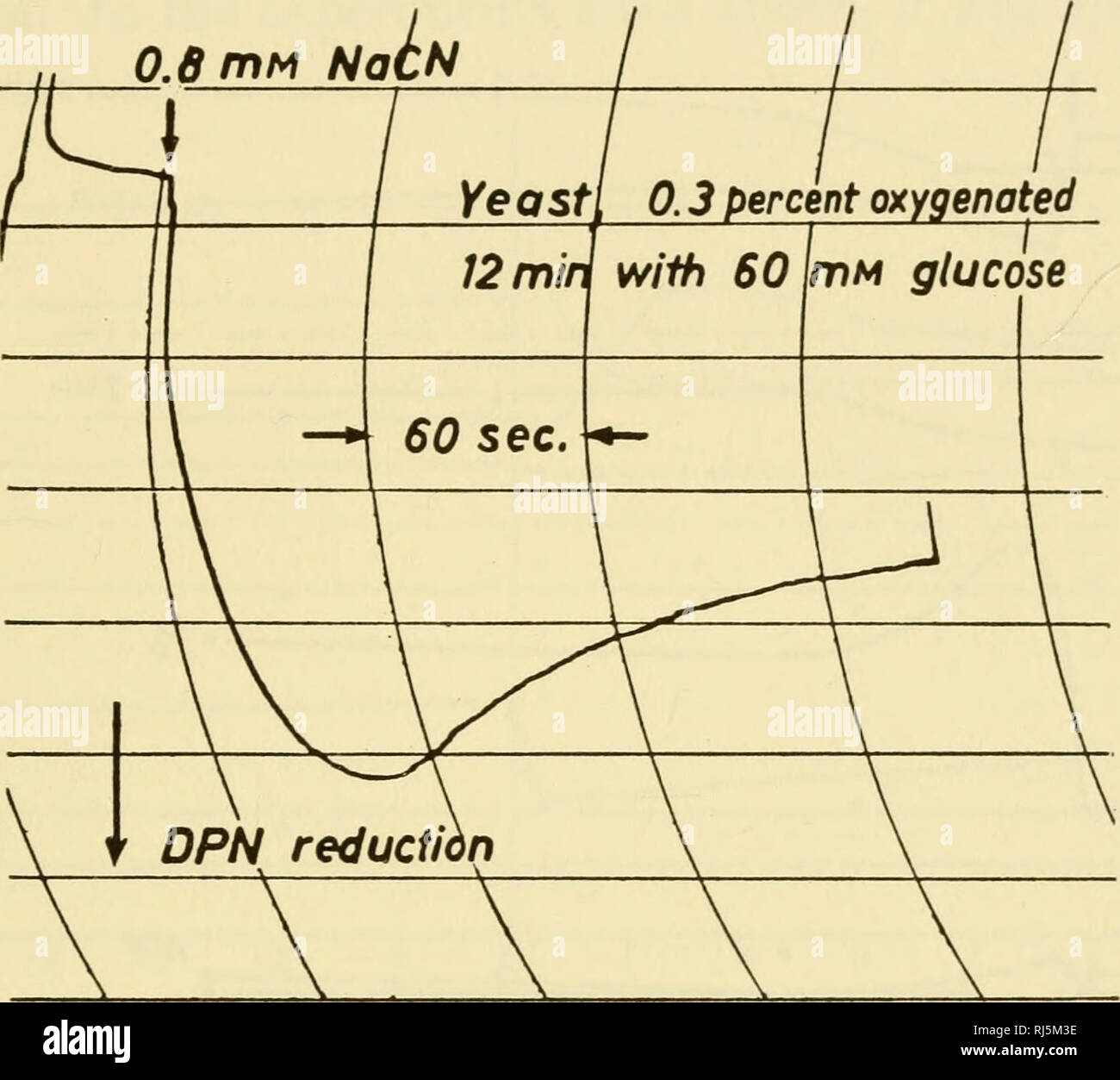 Pasteur experiment hi-res stock photography and images - Alamy