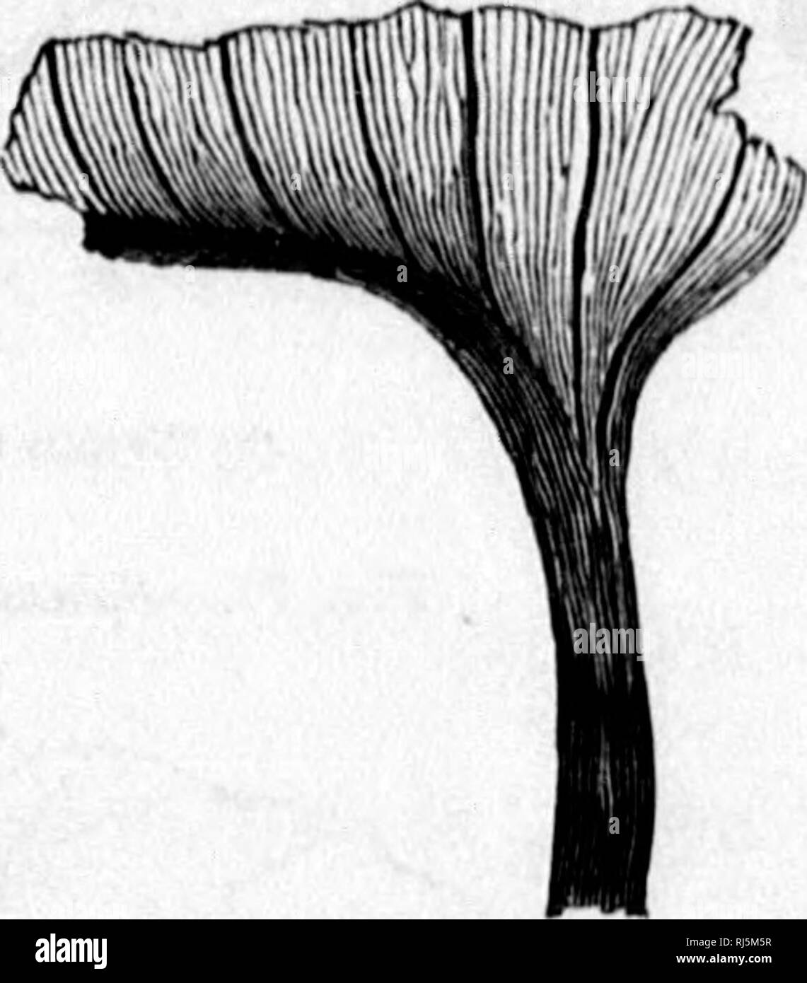 Newcastle new brunswick hi-res stock photography and images - Alamy