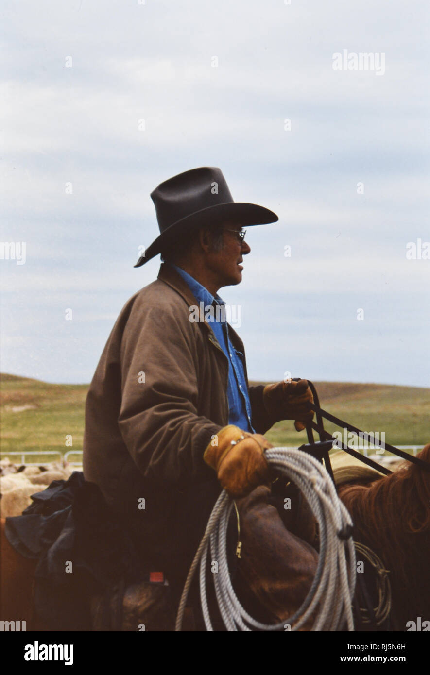 Cowboy holding lariat hi-res stock photography and images - Alamy