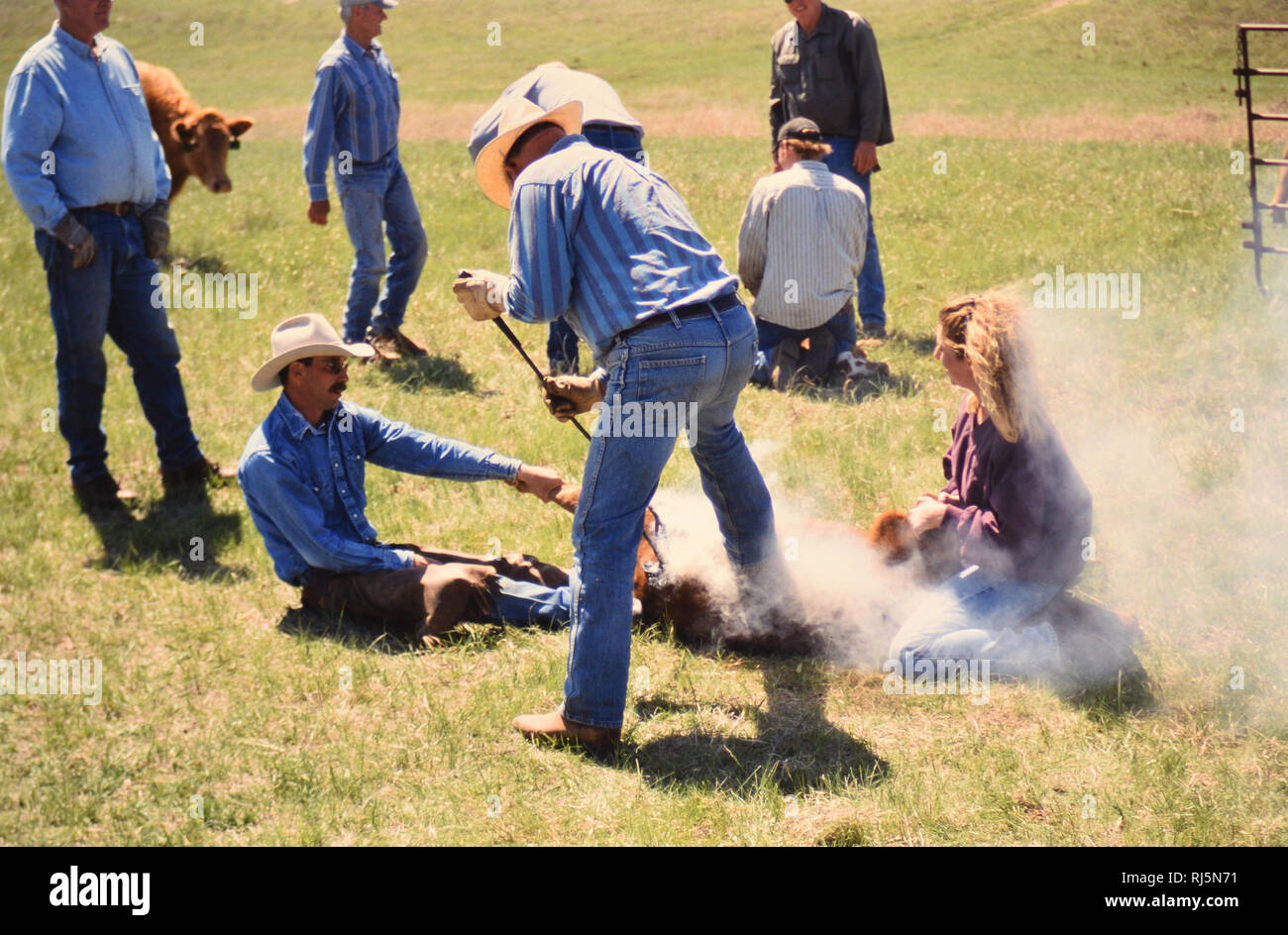 Real nebraska cowboys early 2000s hi-res stock photography and images ...