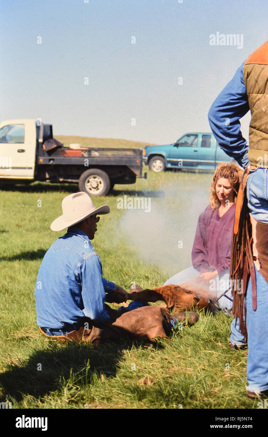 Real nebraska cowboys early 2000s hi-res stock photography and images ...