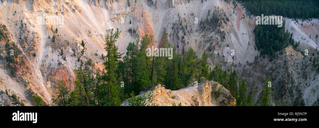 USA, Wyoming, Yellowstone National Park, Colorful rhyolite walls and ...